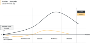 How to Design a Profitable Amazon Vendor Portfolio Strategy